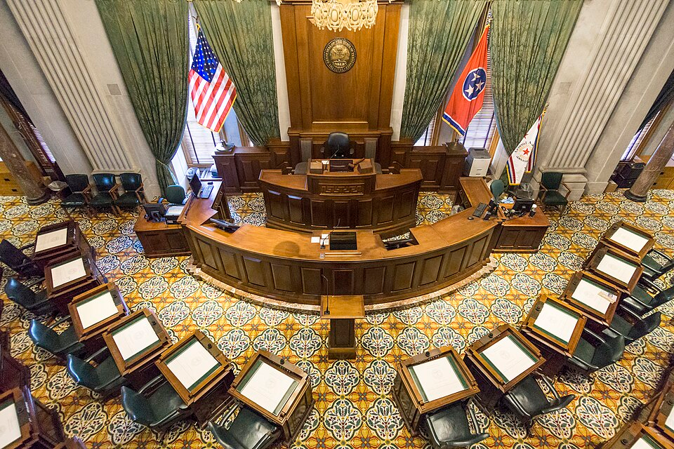 Tennessee Legislature Passed new ECT Restrictions - Ban ECT